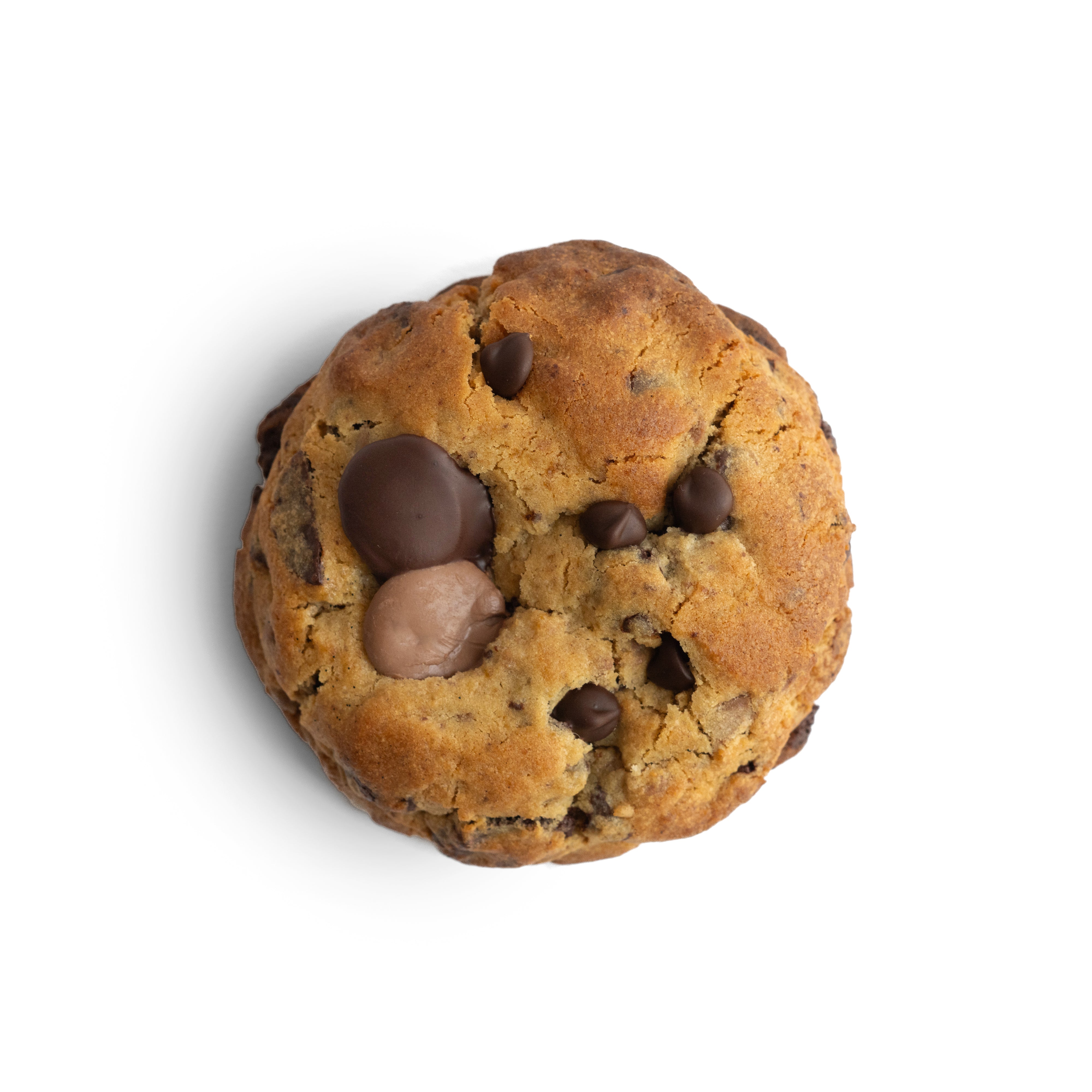 Double Chocolate Chip – Youkies